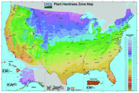 Decoding Planting Zones: USA Hardiness Map - Grit